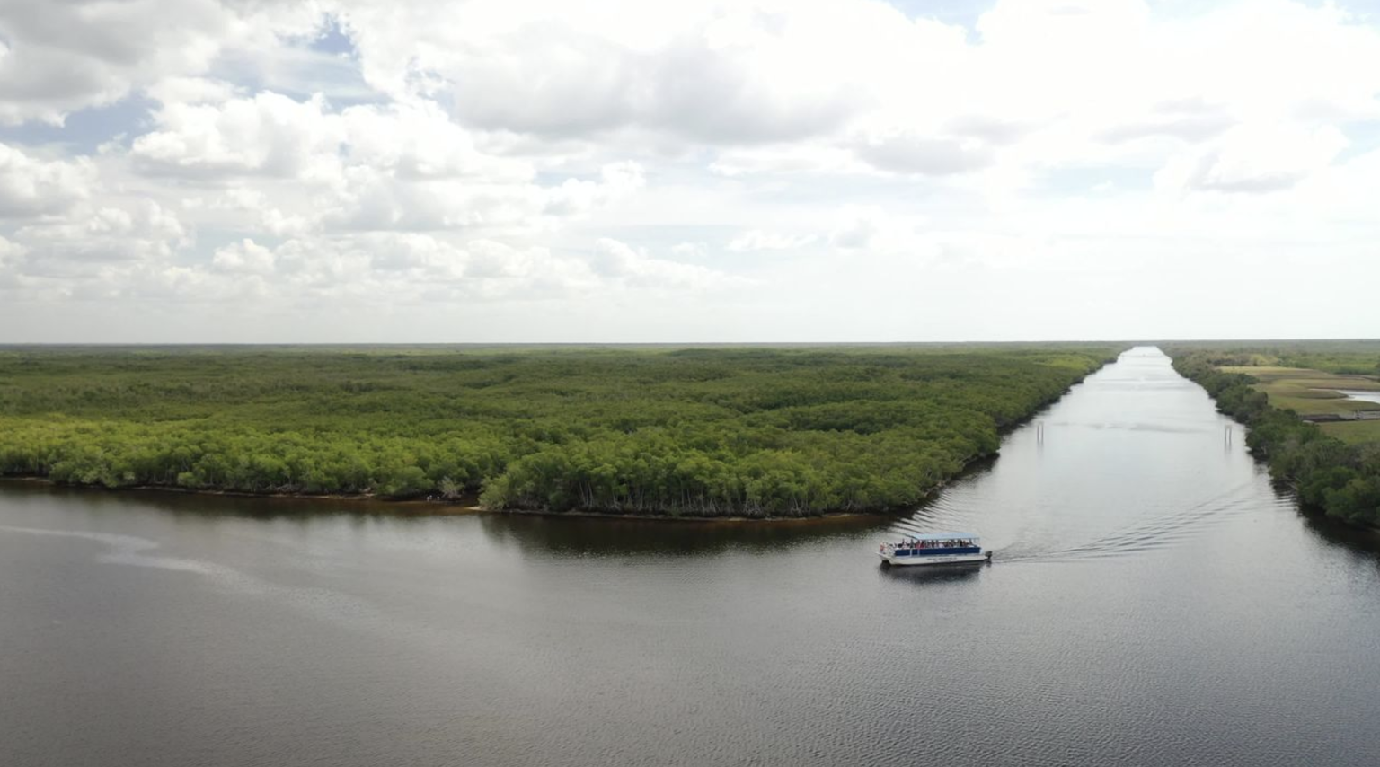 What Makes the Everglades One of the Most Unique Ecosystems in the ...